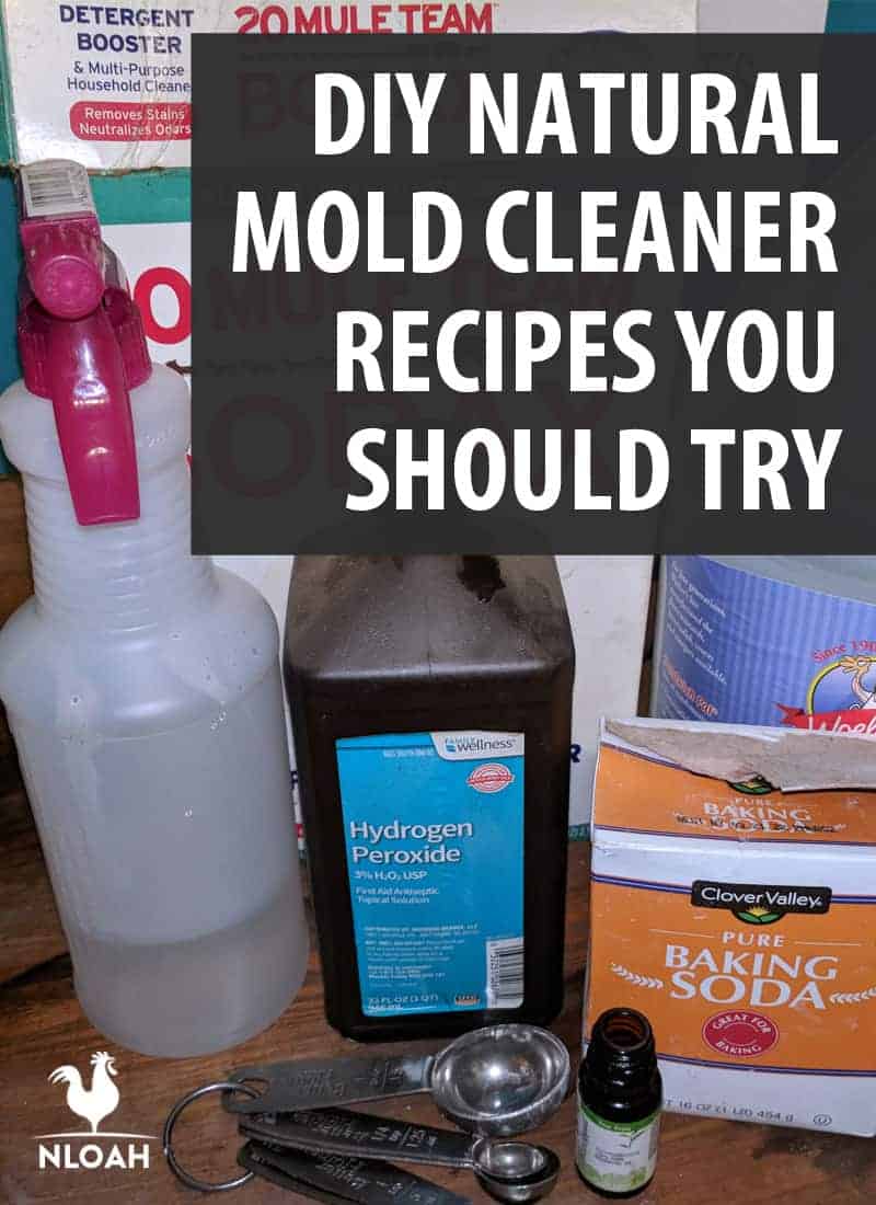 11 DIY Natural Mold Spray Recipes That Work • New Life On A Homestead
