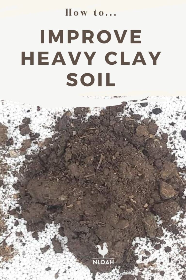 How to Improve Heavy Clay Soil
